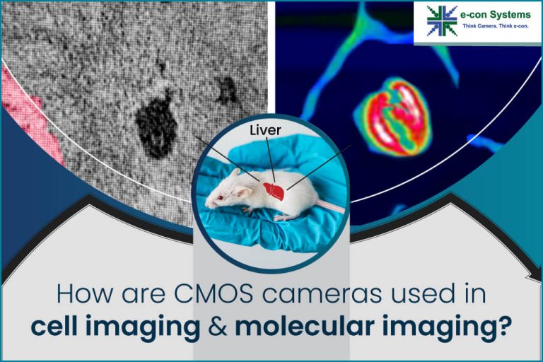 How are CMOS cameras used in cell imaging and molecular imaging? - e-con Systems