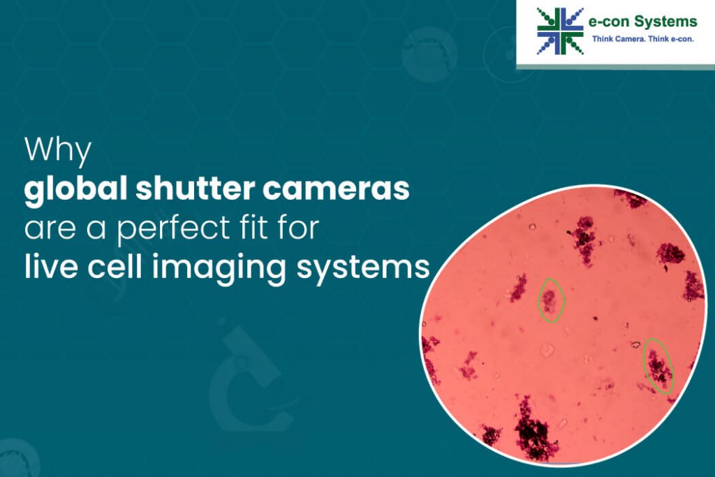 Why global shutter cameras are a perfect fit for live cell imaging systems - e-con Systems