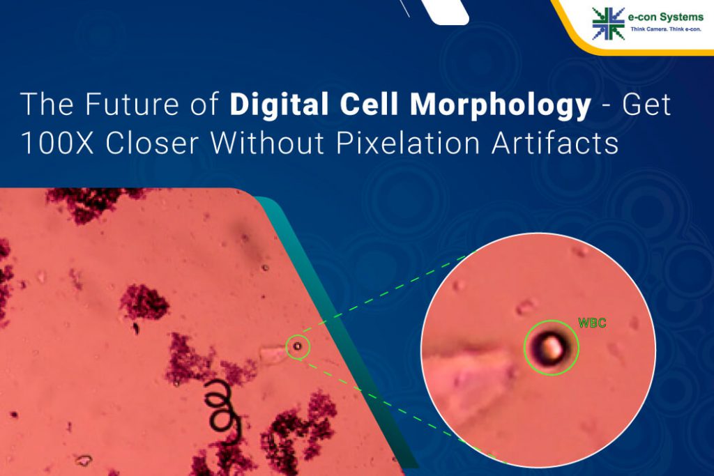The Future of Digital Cell Morphology - Get 100X Closer Without ...